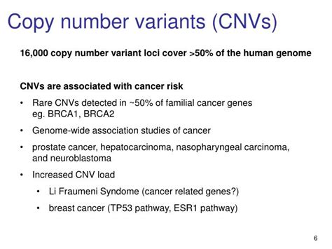 PPT DNA Copy Number Variation And Cancer Risk PowerPoint Presentation