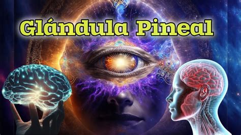 Abre tu TERCER OJO Desbloquea tu Glándula Pineal CONECTA con la