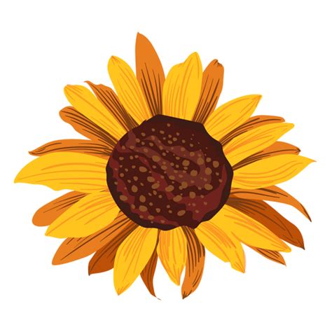 Top Imagen Girasol Png Dibujo Abzlocal Mx