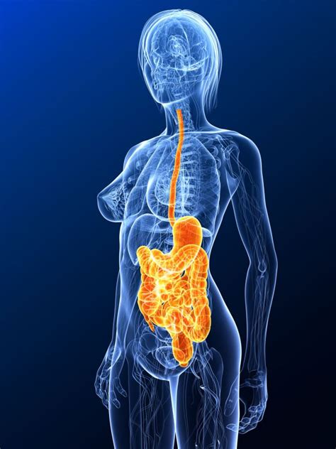 Gastroenteritis Arzt Finden Infos