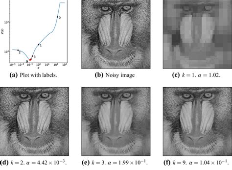 haar wavelet denoising with · · 2 scoring function and the itoh abe download scientific diagram