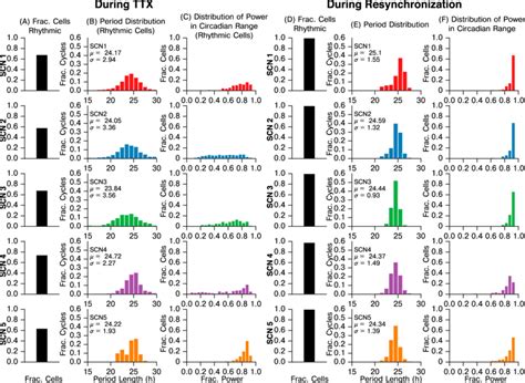 fig s1 summary statistics for scn slices during ttx application and download scientific