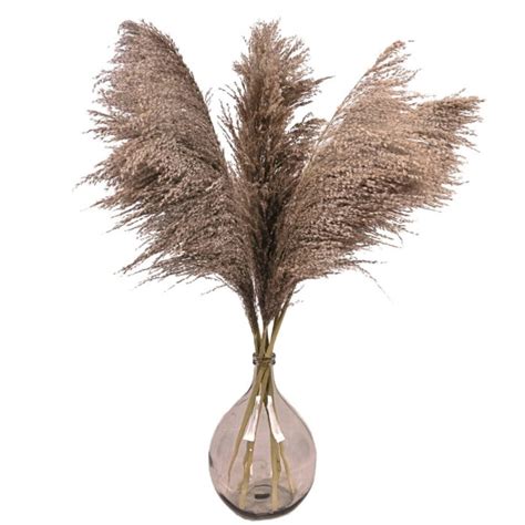 Trawa Pampasowa Suszona Szara PONYTAIL XXL Vailla Design