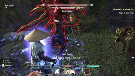 The Elder Scrolls Online Tamriel Unlimited Solo World Boss Bone