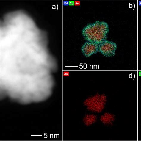 Structural Characterizations Of PdAuAg Alloy NCs A SEM B TEM C
