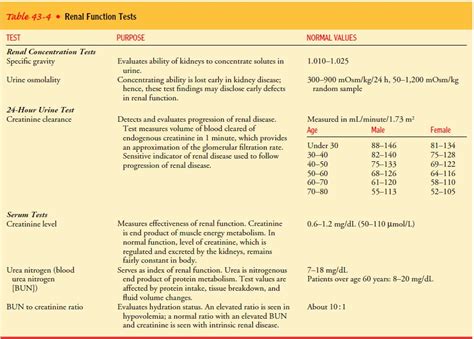 Renal Function Tests