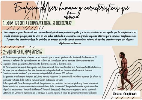 SOLUTION Evolucion Del Ser Humano Studypool
