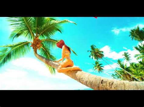 Dani Mocanu Costi Fragolina Official Video YouTube