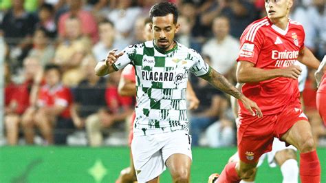 Palpite Moreirense x Santa Clara Campeonato Português 05 10 2024