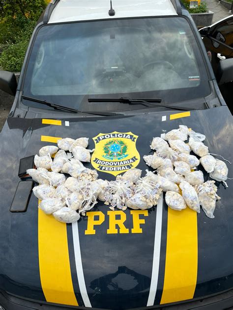 PRF apreende aproximadamente 2 4 mil papelotes de droga na região