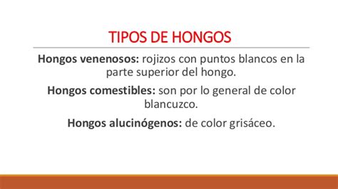 Cuadros comparativos y sinópticos entre hongos comestibles y hongos