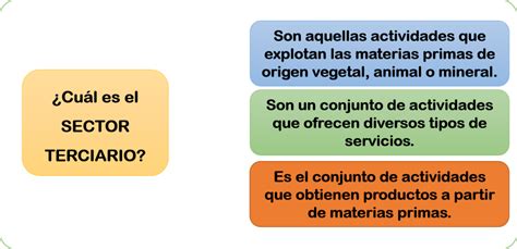 Trabajo Sector Terciario Ficha Interactiva TopWorksheets