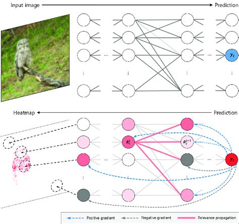 overview of the proposed selective layer wise relevance propagation slrp download scientific