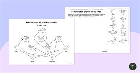 Food Webs And Food Chains Food Theme Page At Enchantedlearning