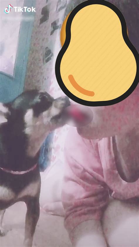 N Tiktoker Vi T Th N Nhi N H N L I V I Ch Khi N D N T Nh Shock N Ng