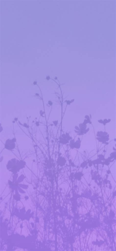 Top 56 Light Purple Wallpaper Aesthetic In Cdgdbentre