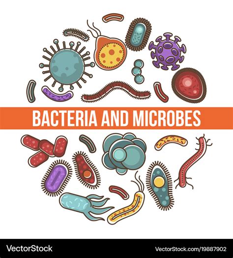 Bacteria And Microbes Science Poster Royalty Free Vector