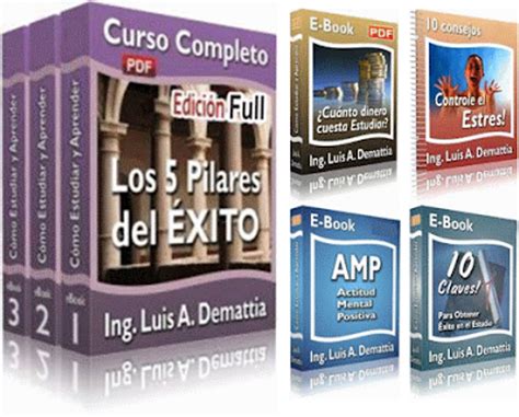 Los 5 pilares del éxito en el estudio Luis Demattia Curso FreeLibros