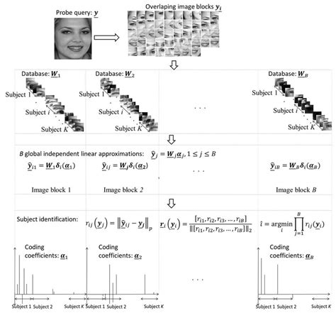 weighted sparse representation on overlapping image blocks with download scientific diagram
