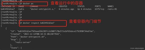 三、docker 常用命令（详解、注意点、实操） 极客之音