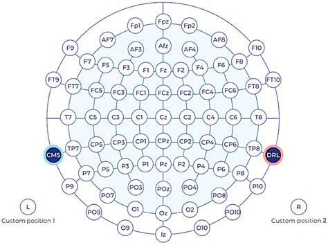 sensors free full text steady state visual evoked potential based brain computer interface
