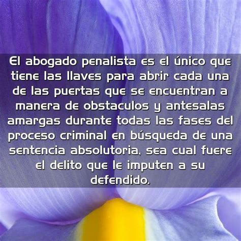 El abogado penalista es el único Frases Con Imágenes
