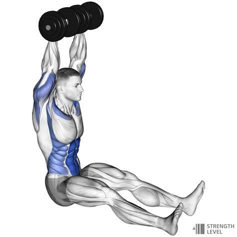 Kurzhantel Z Press Standards für Männer und Frauen lb Strength Level