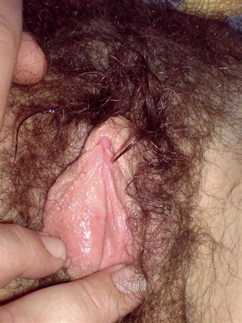 Hairy Pussy Picture Gallery Image 145047