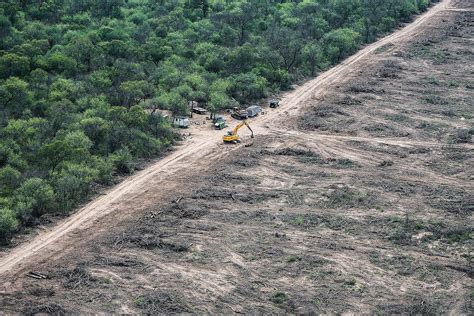 Fundación Greenpeace Argentina Así se ve la deforestación en