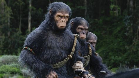 Le nouveau film de La Planète des Singes règne sur le box office