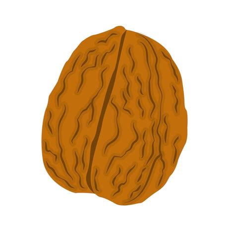 Ilustración aislada de vectores de dibujos animados de nueces de nuez