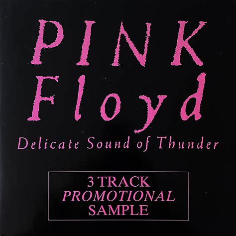 Pink Floyd Delicate Sound Of Thunder Uk Promo Floydstuff
