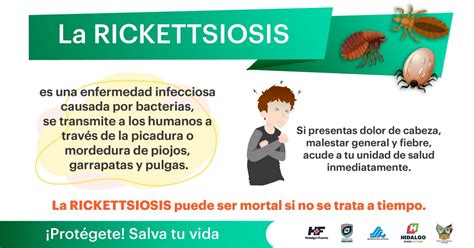 Salud Hidalgo On Twitter Sabes Que Es La Rickettsiosis Es Una