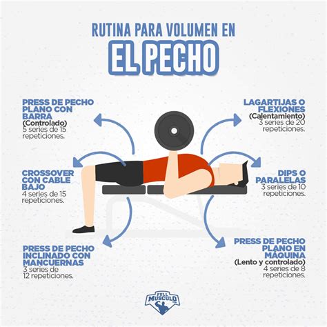 Los 12 Mejores Ejercicios Para Pectorales Rutina FullMusculo