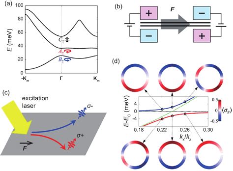 Interaction Of Moir Excitons With Cavity Photons In Two Dimensional
