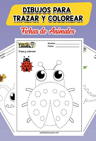 Esqueleto Humano Para Armar Material Educativo