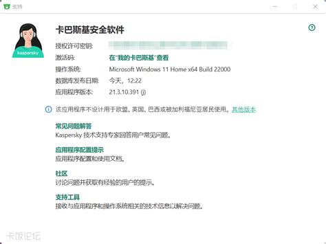 卡巴全盘扫描执行过程中自动停止并闪退重启 卡巴斯基 安全区 卡饭论坛 互助分享 大气谦和