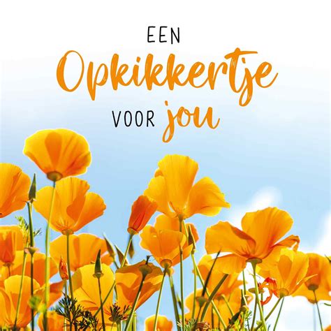 Een Opkikkertje Voor Jou Snelwenskaart Nl