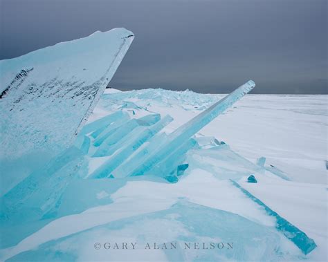 Gary Alan Nelson Photography