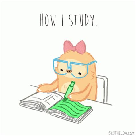 Homework Study Homework Study Highlighter Discover Share GIFs