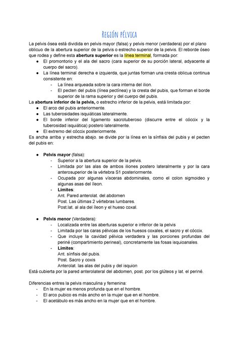 Repaso de anatomia 2 2do parcial Región pélvica La pelvis ósea está