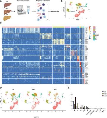 Frontiers Single Cell RNA Transcriptomics Reveals Differences In The