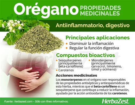 Orégano HerbaZest