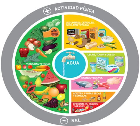 Conozca la guía alimentaria adaptada a Misiones con alimentos