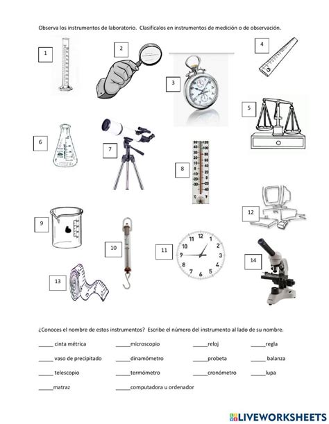The Worksheet Is Filled With Different Objects