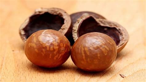 Nuts and Seeds Names in Arabic أسماء المكسرات والبذور باللغة العربية