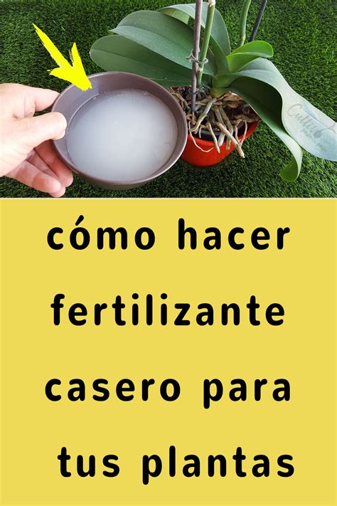 cómo hacer fertilizante casero para tus plantas