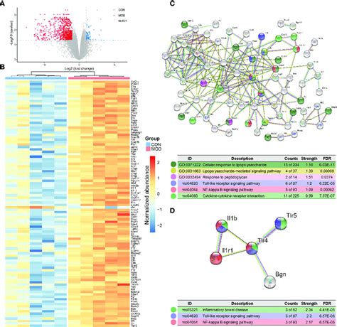 Transcriptome Analysis Of Duodenum A Differential Expressed Genes