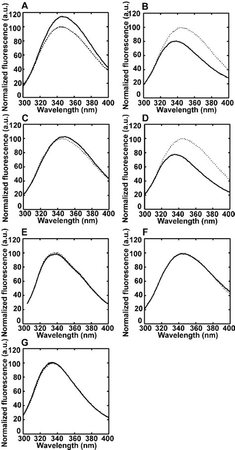 Intrinsic Tryptophan Fluorescence Spectra Of Wild Type And Mutant