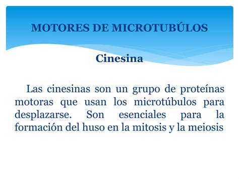 Clase Citoesqueleto Pptx Descarga Gratuita